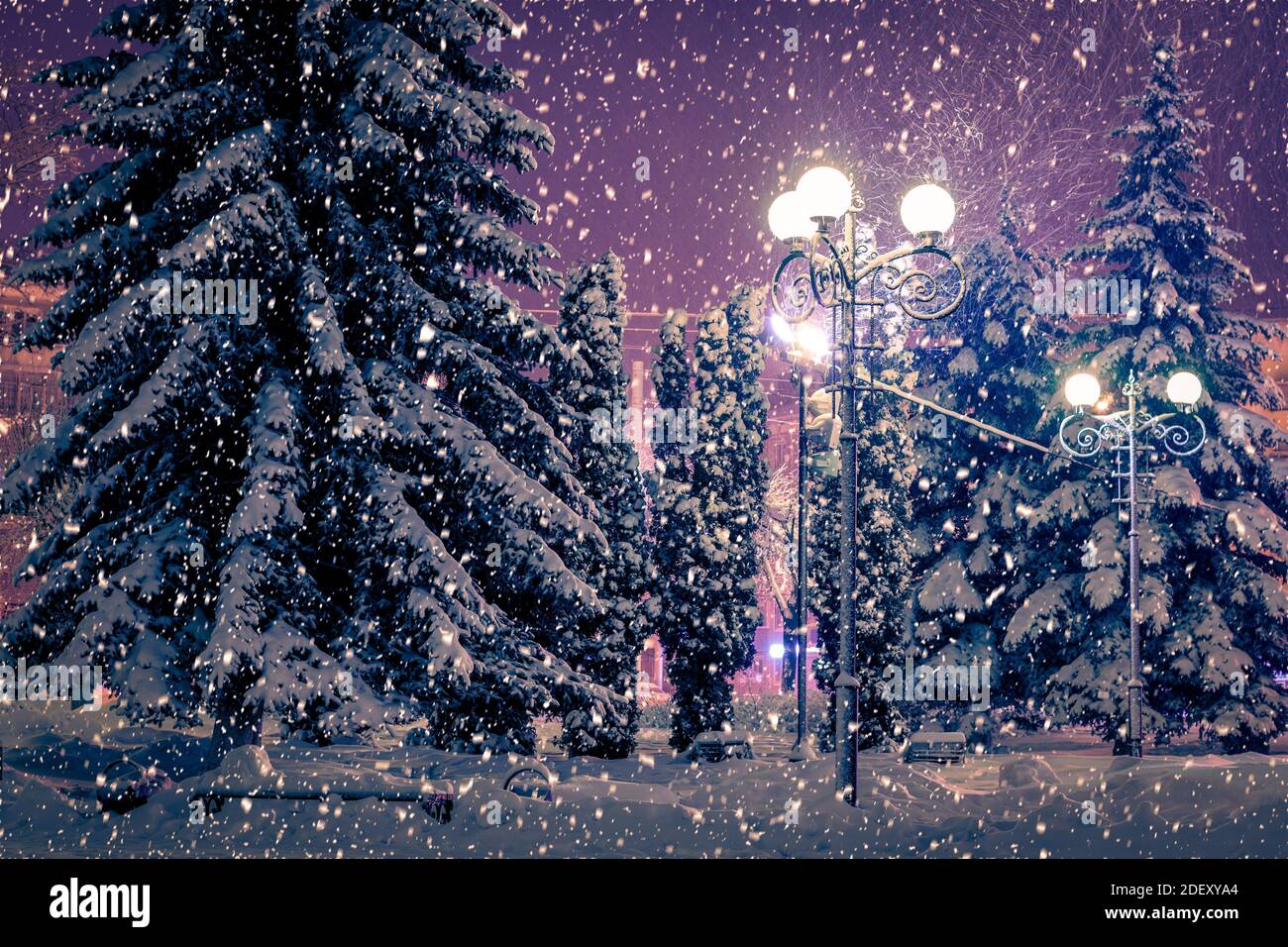 Winter night park with lanterns, pavement and trees covered with snow ...