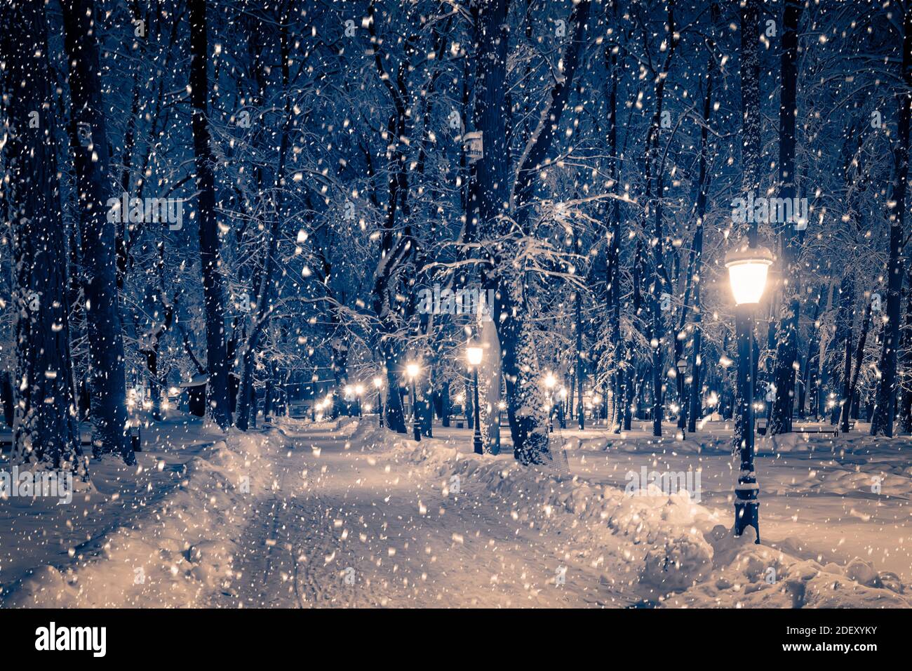 Winter night park with lanterns, pavement and trees covered with snow ...