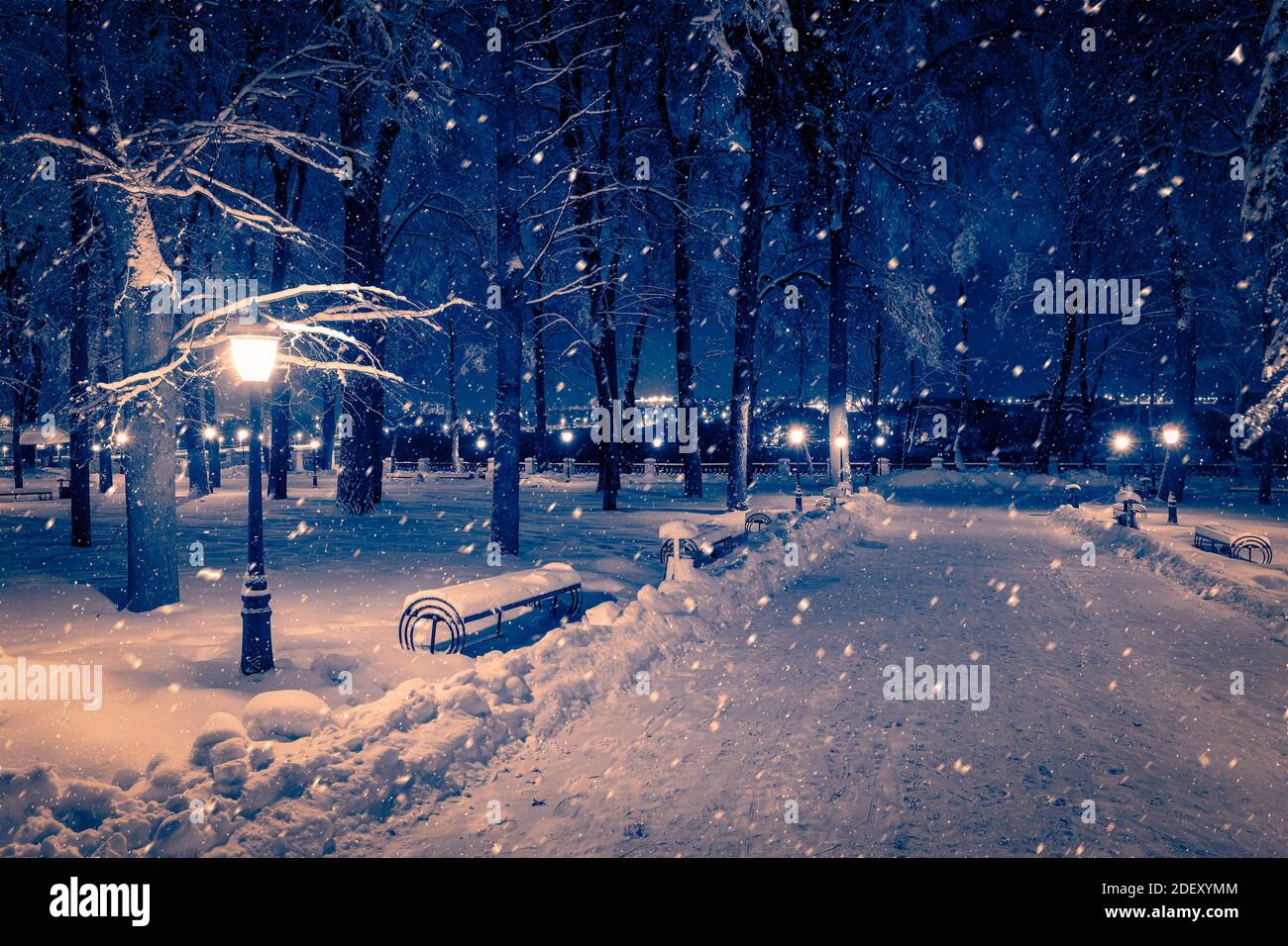 Winter night park with lanterns, pavement and trees covered with snow ...
