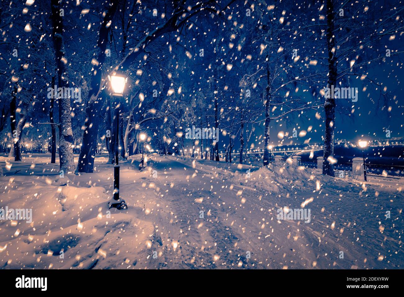Winter night park with lanterns, pavement and trees covered with snow ...