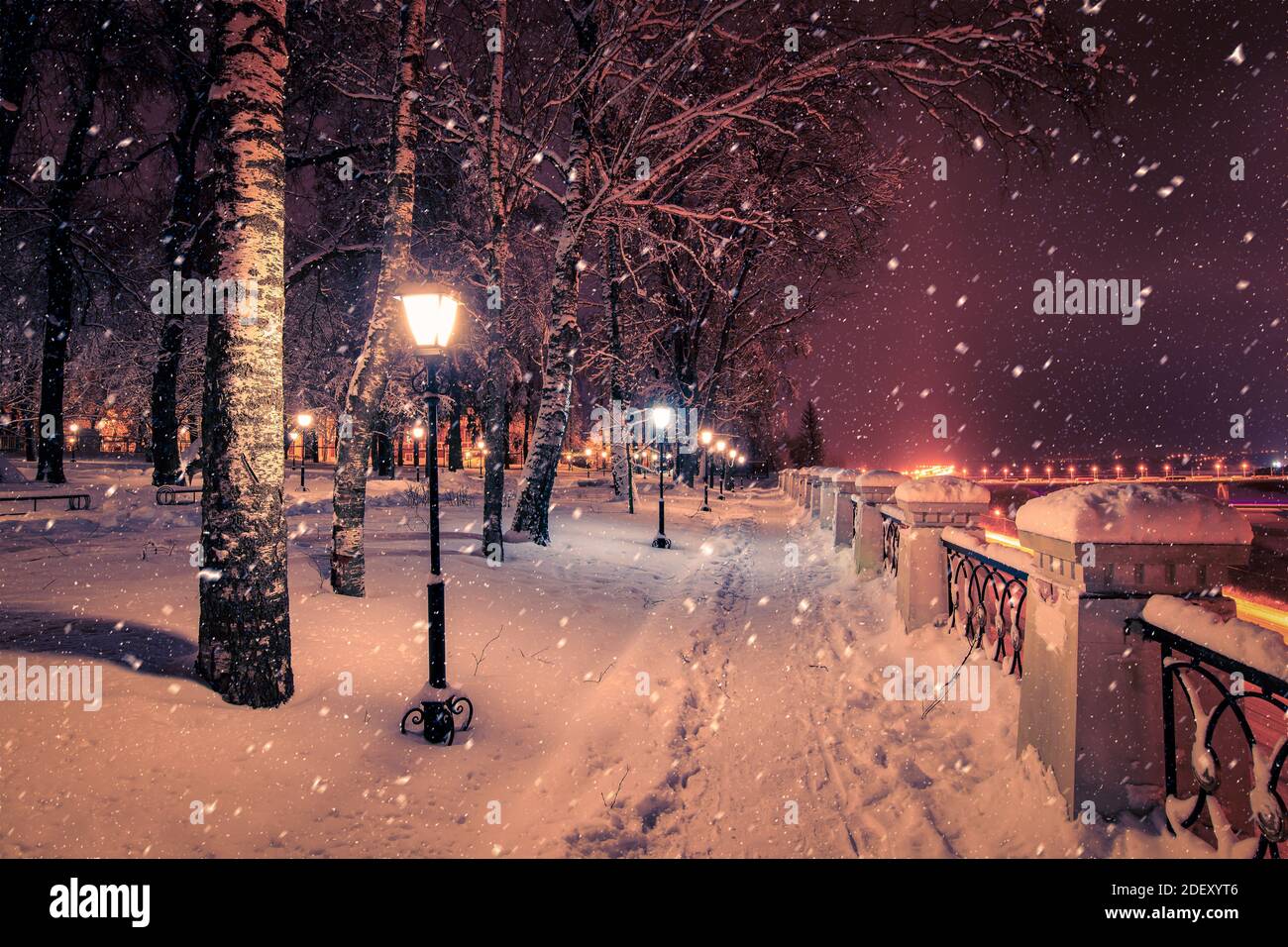 Winter night park with lanterns, pavement and trees covered with snow ...