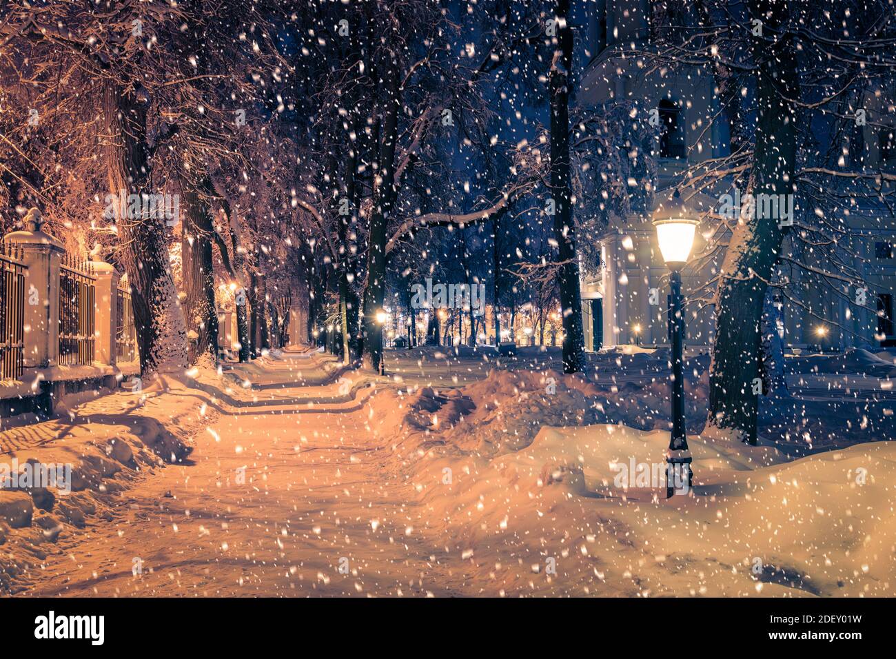 Winter night park with lanterns, pavement and trees covered with snow ...