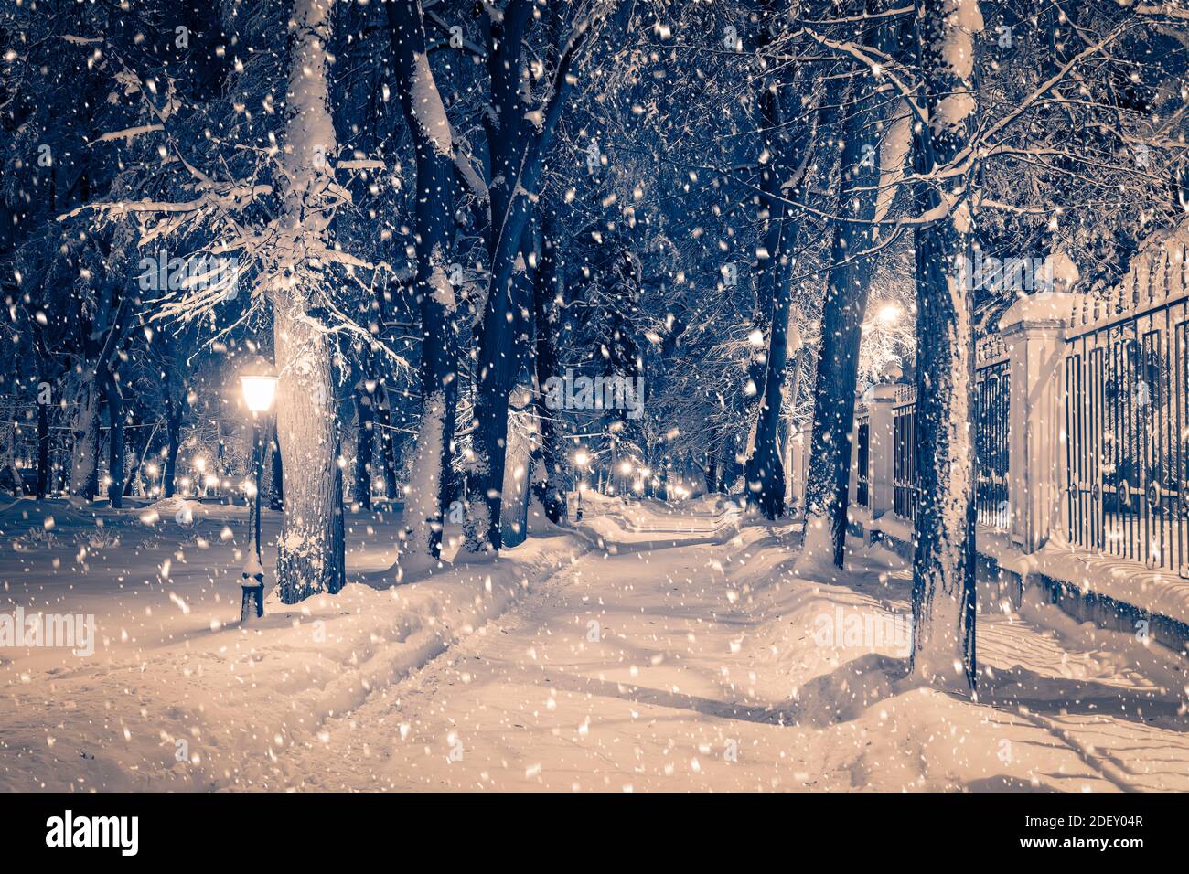Winter night park with lanterns, pavement and trees covered with snow ...