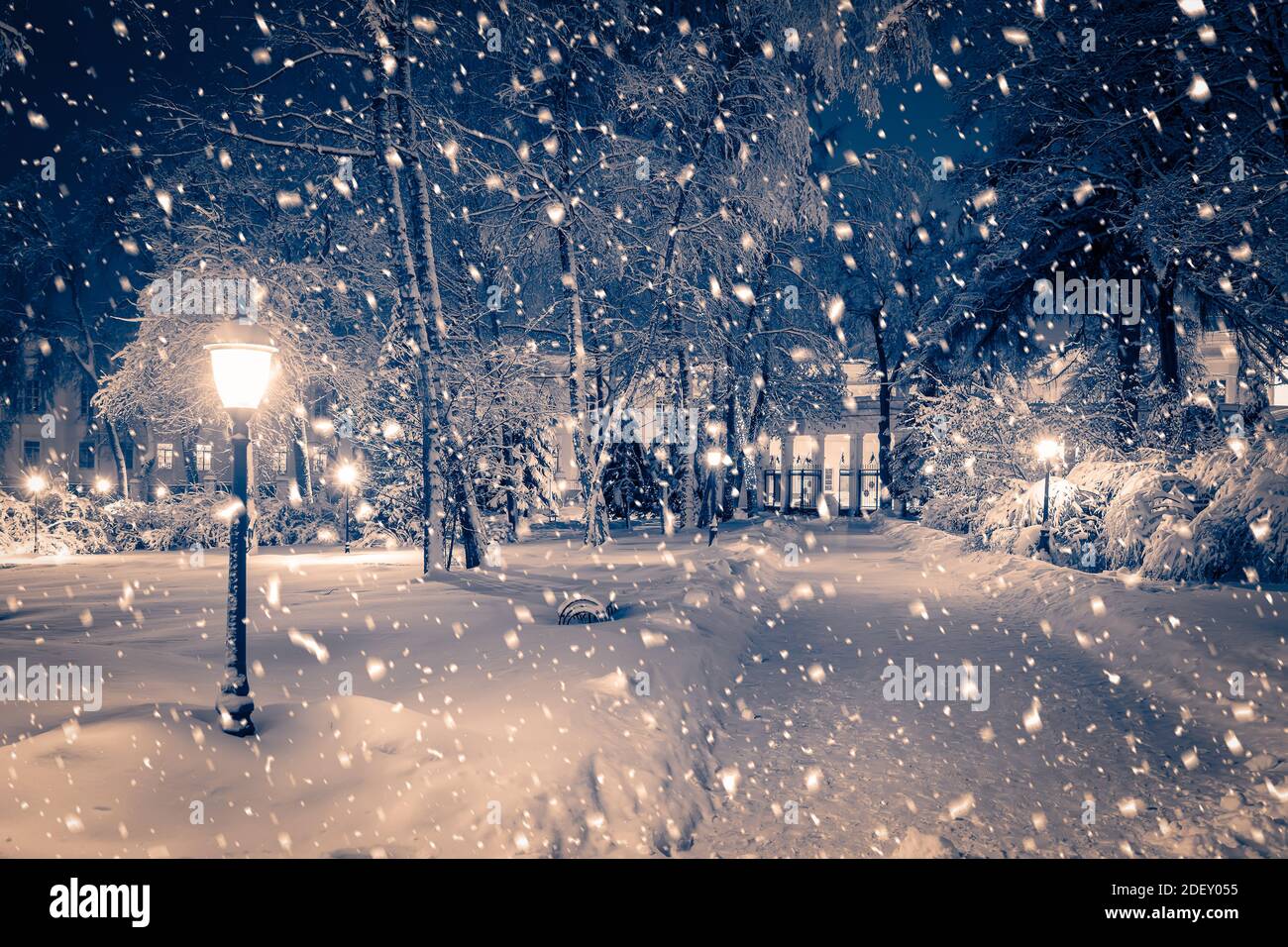 Winter night park with lanterns, pavement and trees covered with snow ...