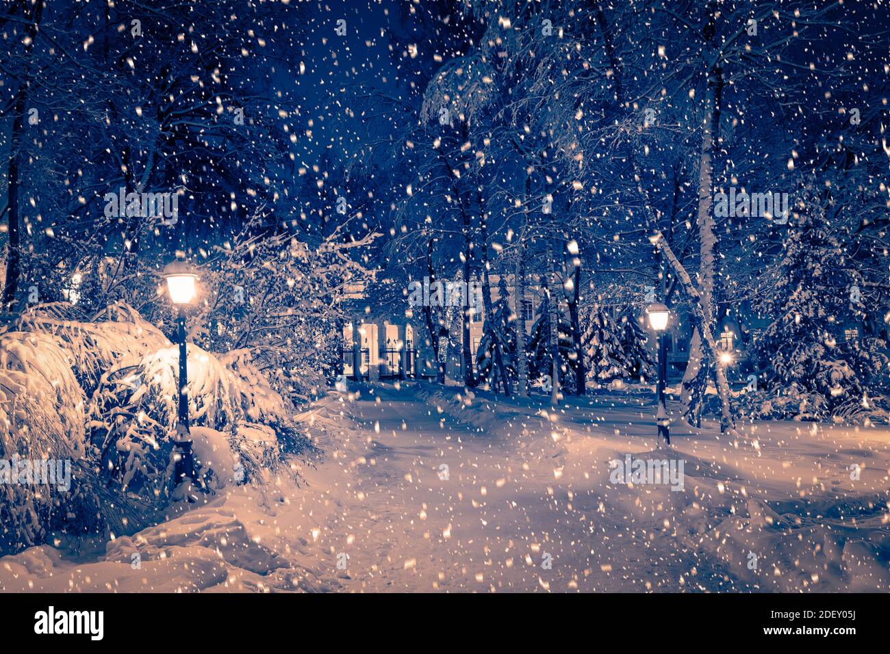 Winter night park with lanterns, pavement and trees covered with snow ...