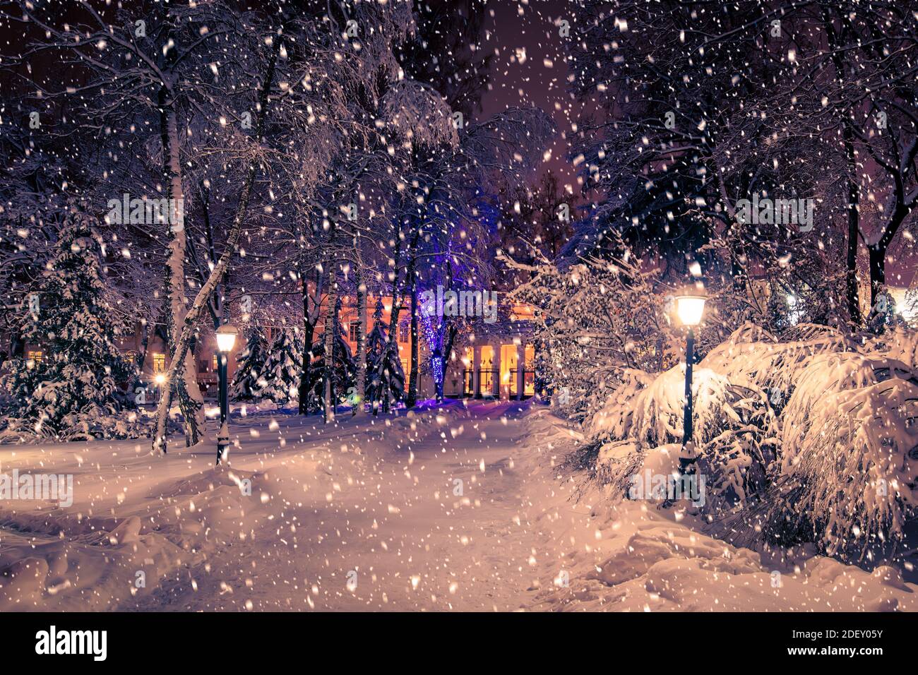 Winter night park with lanterns, pavement and trees covered with snow ...