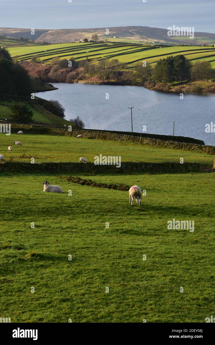 Haworth Moor, Bronte Country on a bright Winter's day, West Yorkshire ...