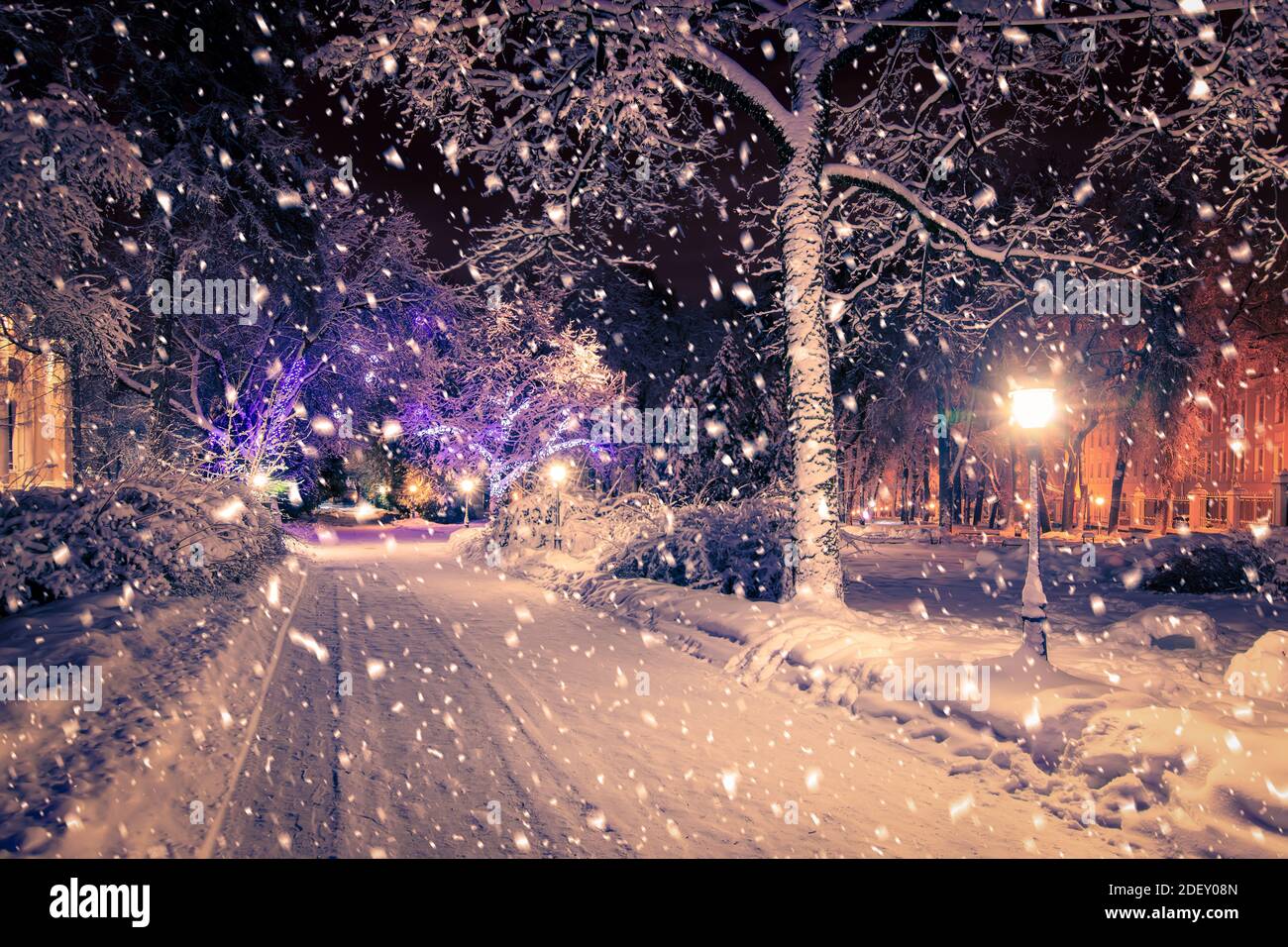 Winter night park with lanterns, pavement and trees covered with snow ...