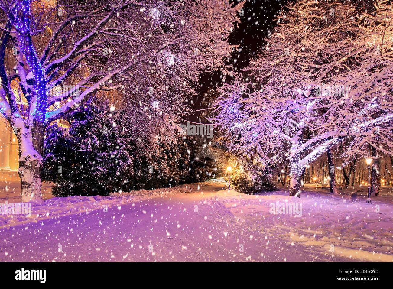 Winter night park with lanterns, pavement and trees covered with snow ...