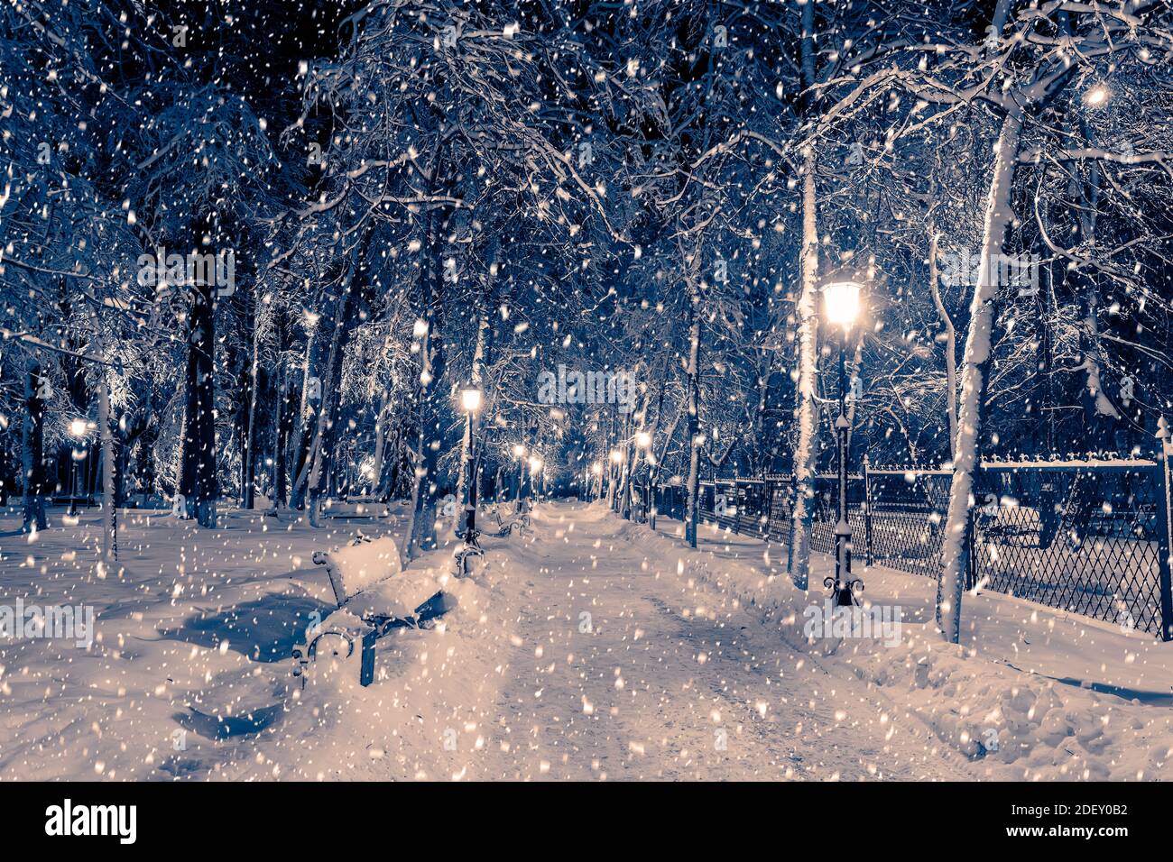 Winter night park with lanterns, pavement and trees covered with snow ...