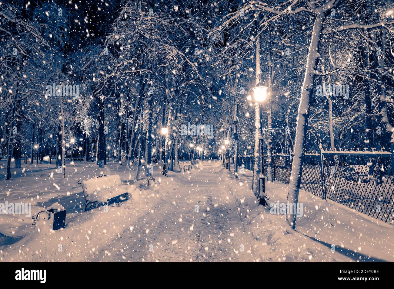 Winter night park with lanterns, pavement and trees covered with snow ...