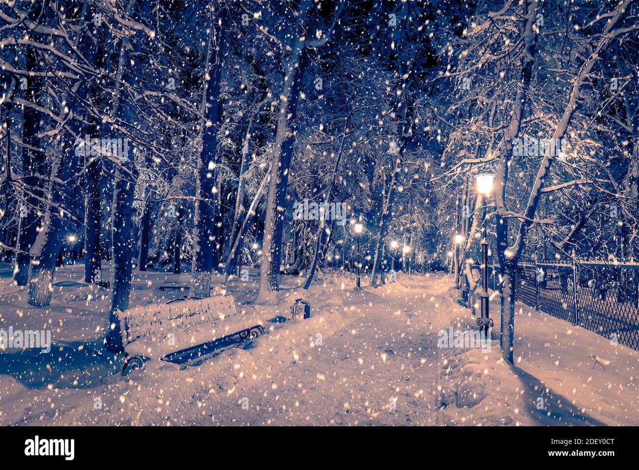 Winter night park with lanterns, pavement and trees covered with snow ...