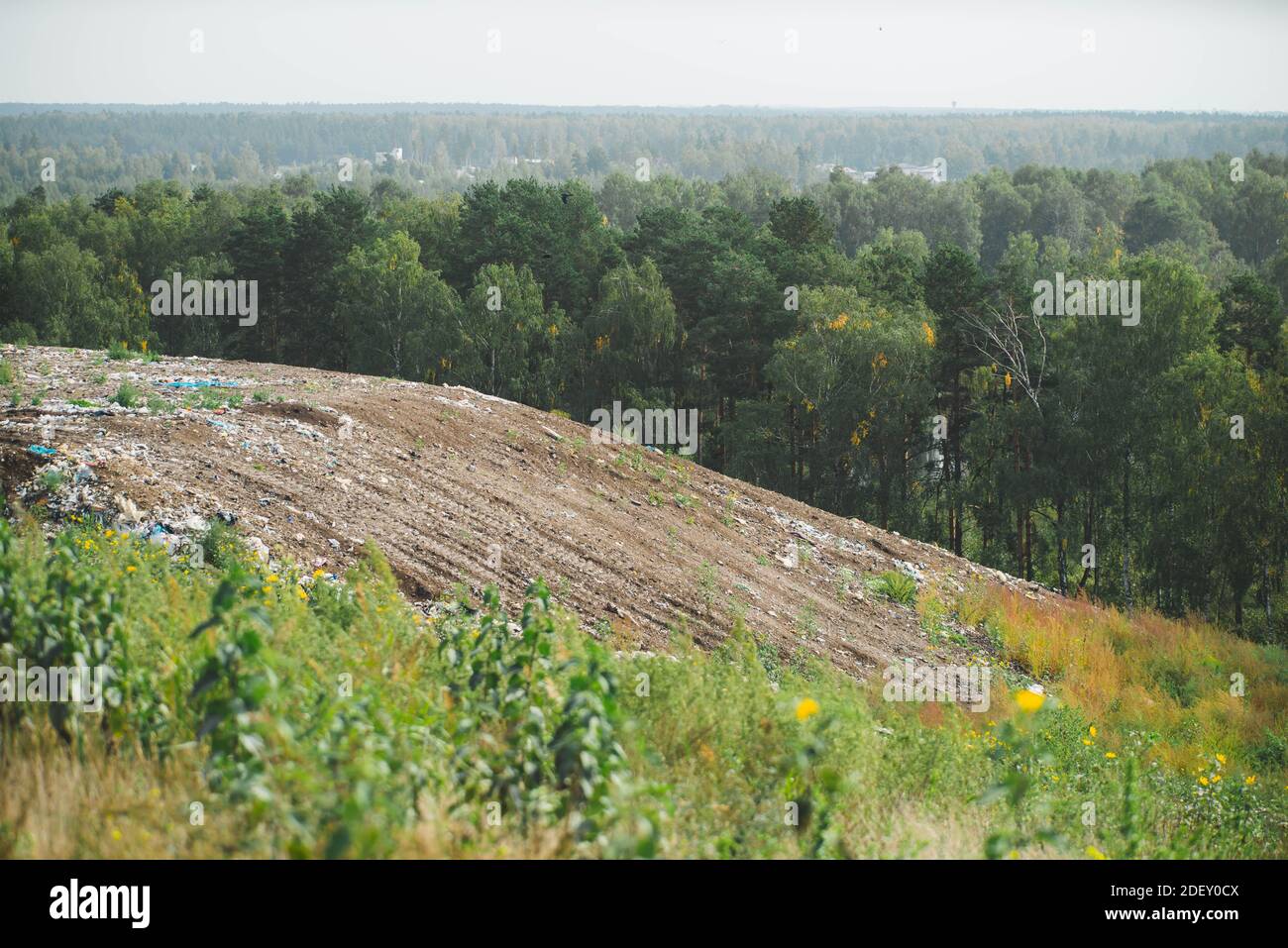 Landfill near green forest. Waste sorting and preparation for recycling ...