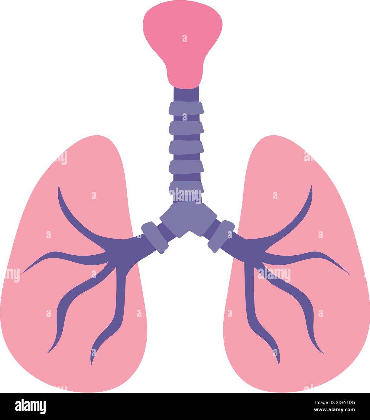 lung with trachea doodle flat style icon Stock Vector Image & Art - Alamy