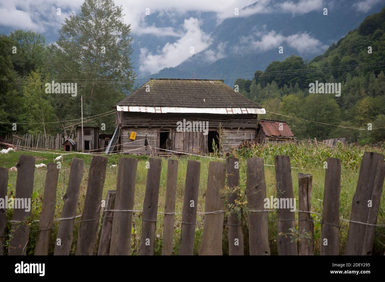 agriculture and farming in romania, plant growing and food production ...