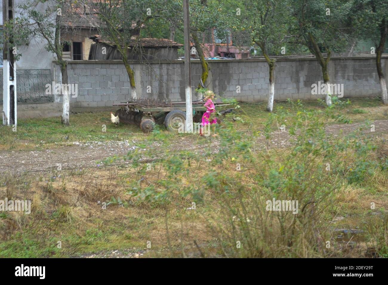 agriculture and farming in romania, plant growing and food production ...