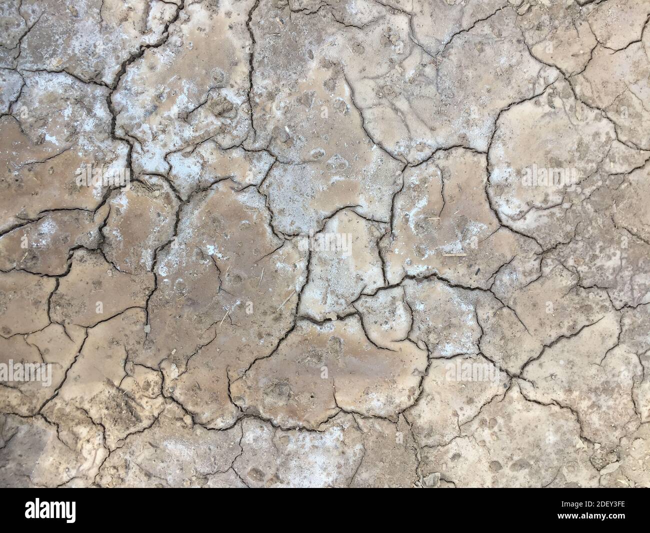 Dry mud background natural texture of earth banner Stock Photo - Alamy