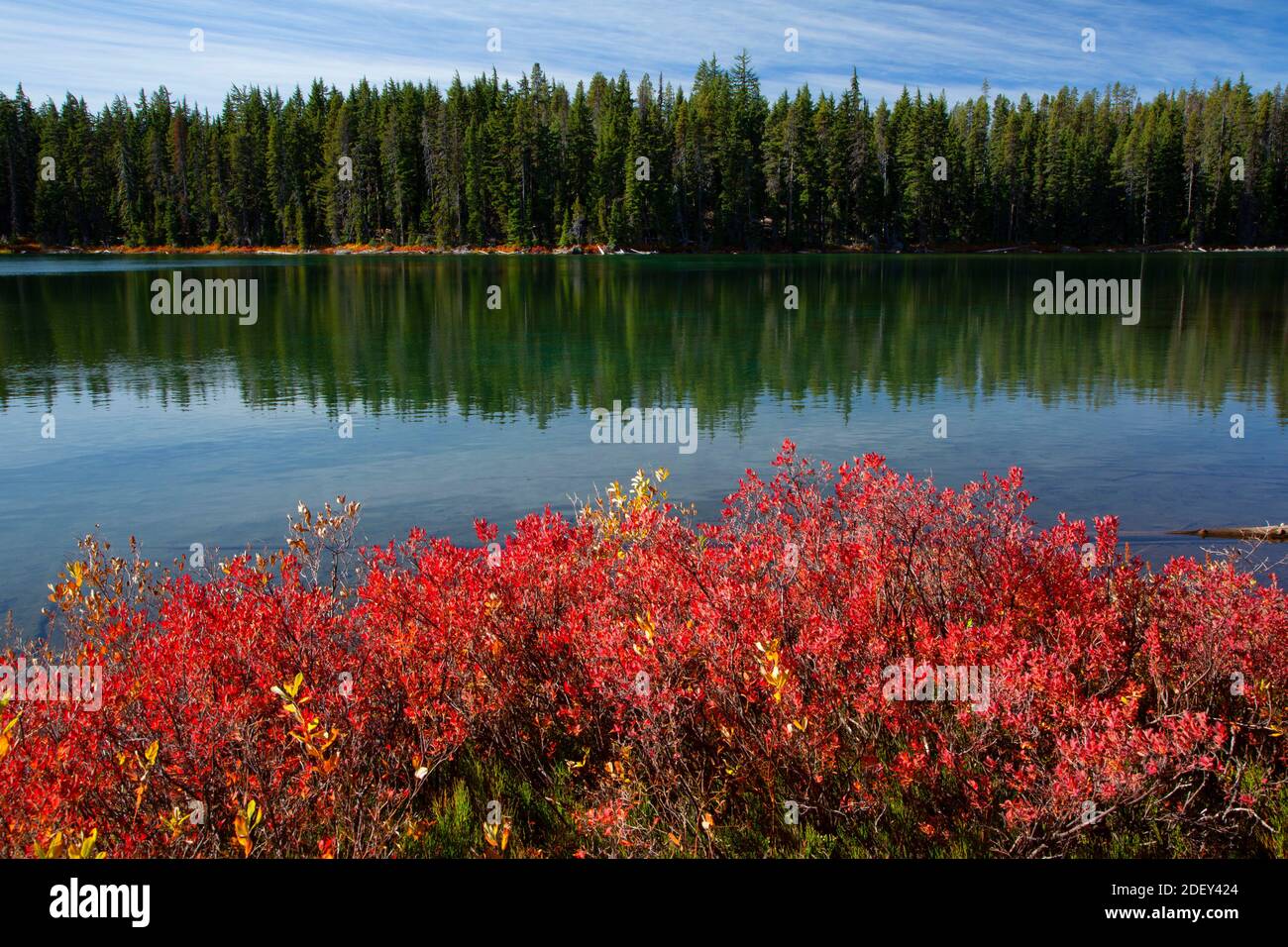 Winema national forest hi-res stock photography and images - Alamy