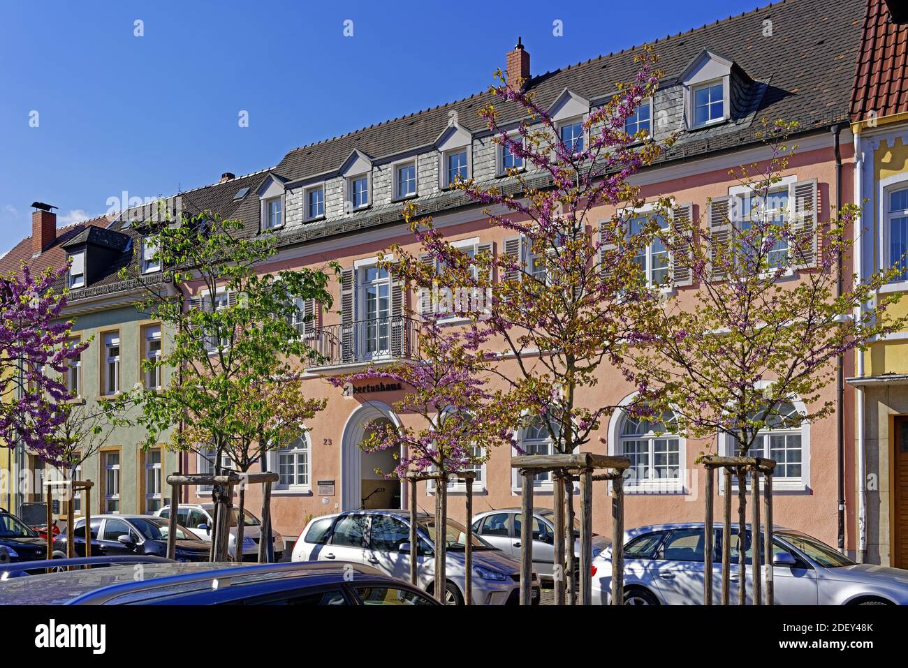 Schum hi-res stock photography and images - Alamy