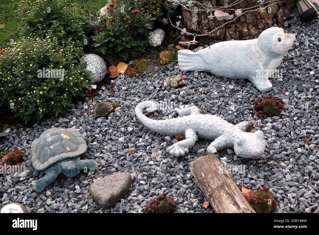 A high angle shot of a sea lion and a lizard white toys on the ground ...
