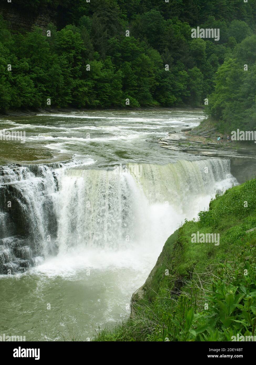 The genesee river flows into the lower falls at Letchworth State Park ...