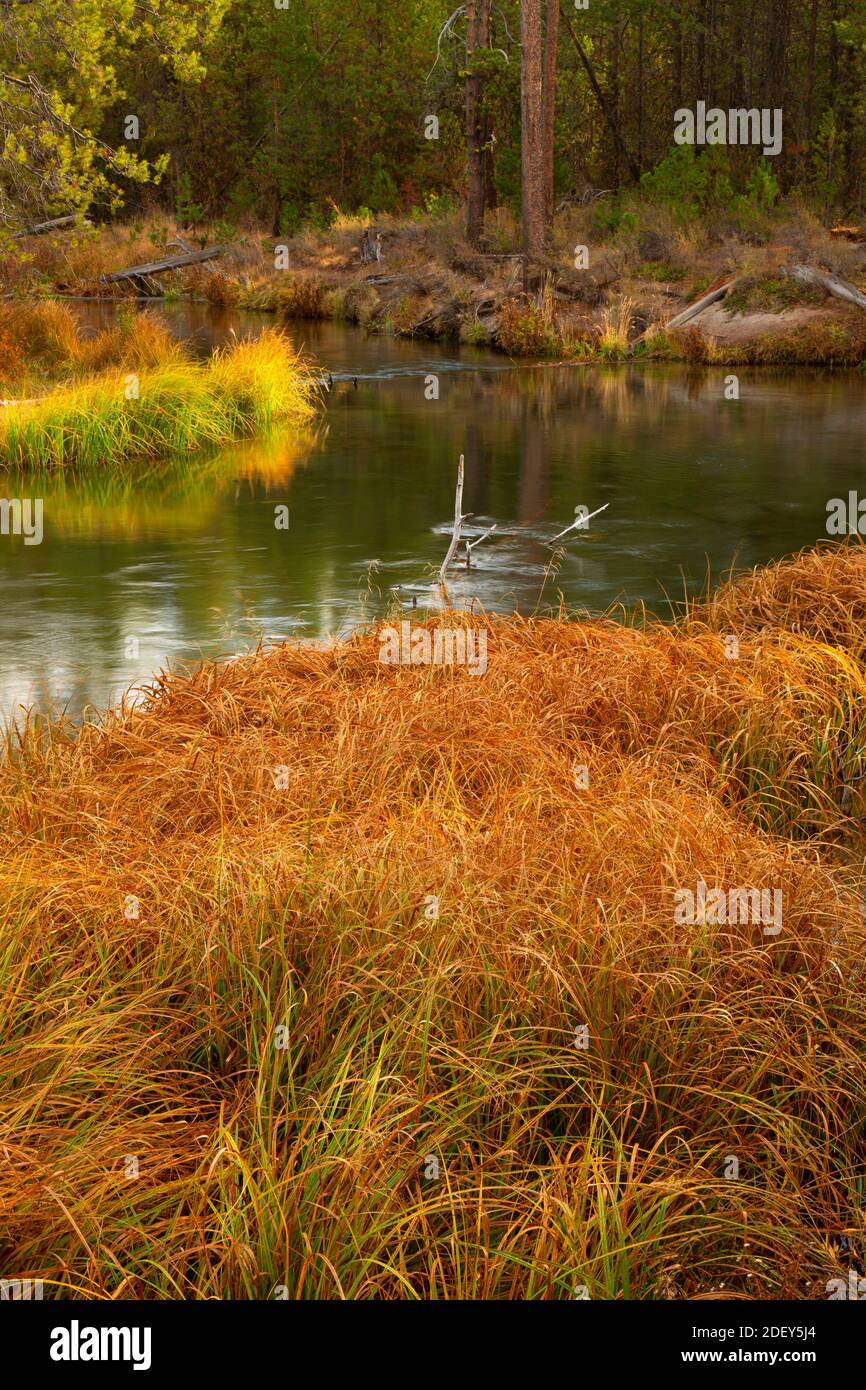 Fall creek state park hi-res stock photography and images - Alamy