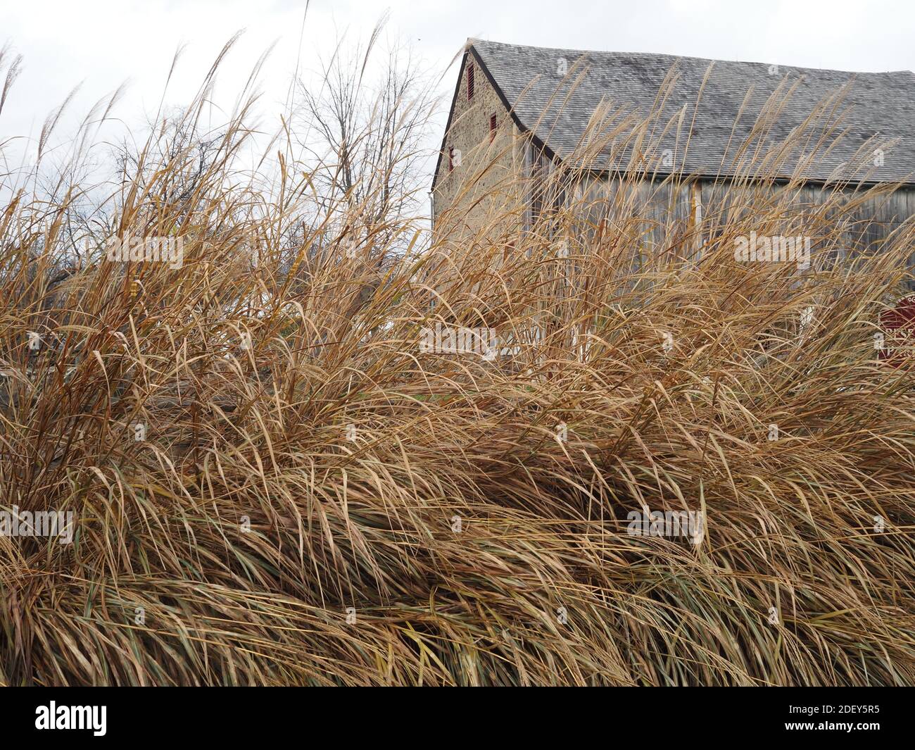 This is an 18th century built farm that is used for special events ...