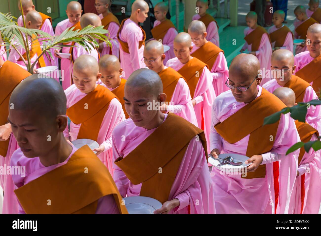 Novice plates hi-res stock photography and images - Alamy