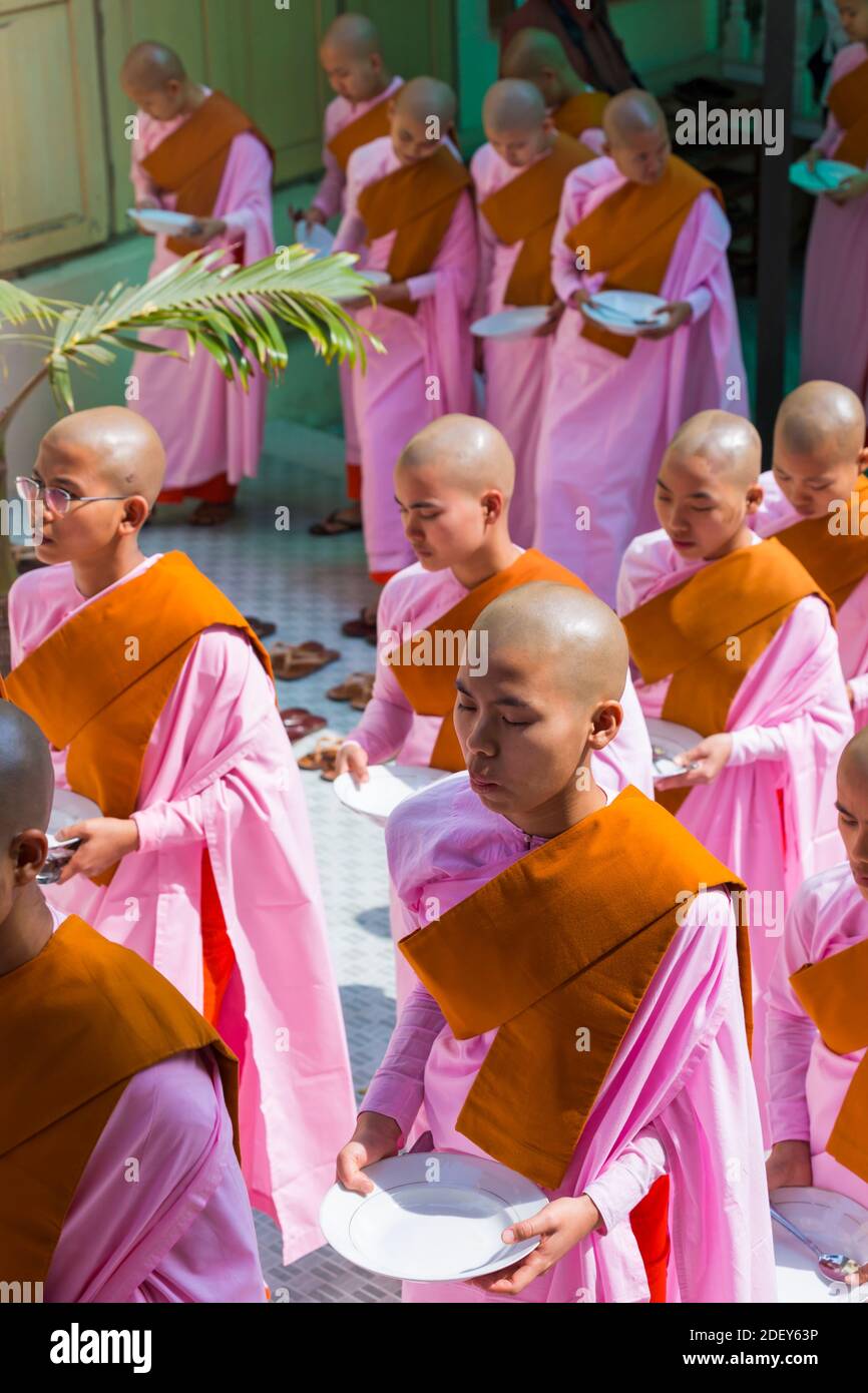 Novice plates hi-res stock photography and images - Alamy