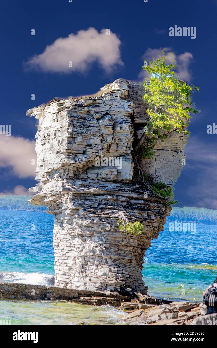 Vegetation manages to survive on the Flower pot rock formation on Lake ...