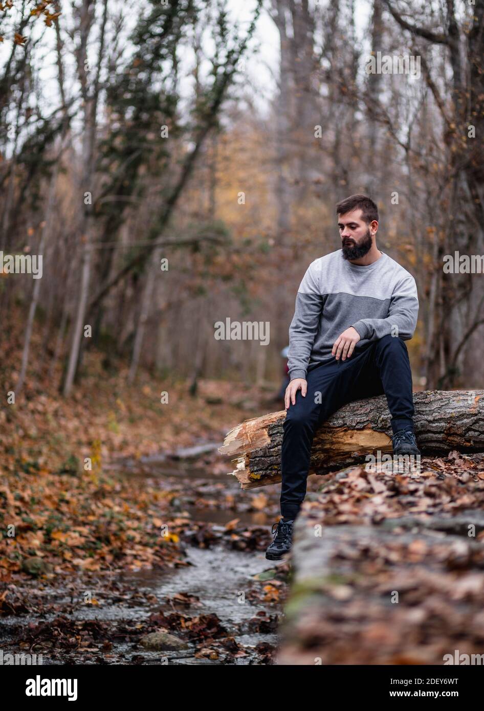 Man lying on fallen tree hi-res stock photography and images - Alamy
