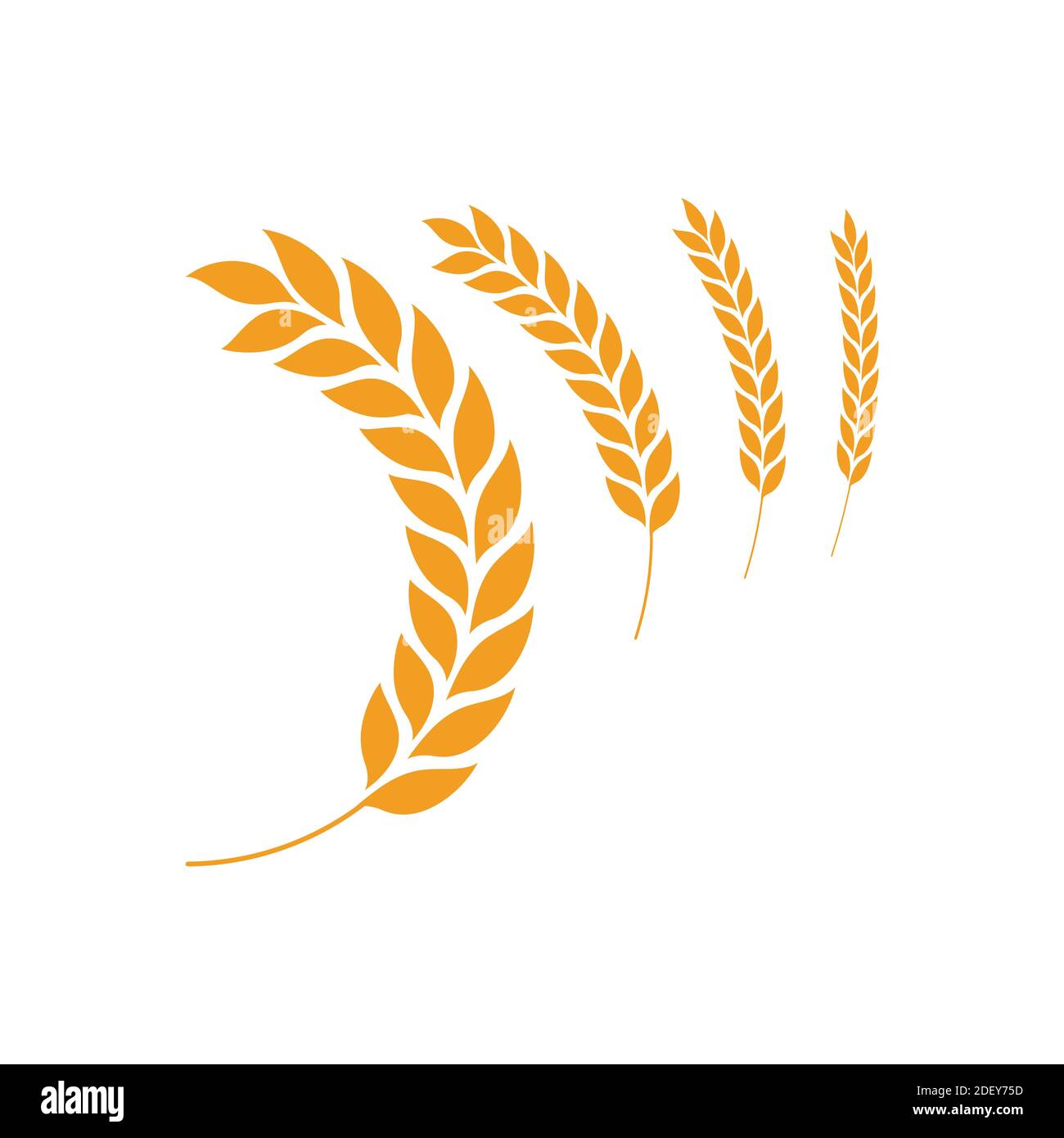 Agriculture wheat vector icon design Stock Vector Image & Art - Alamy