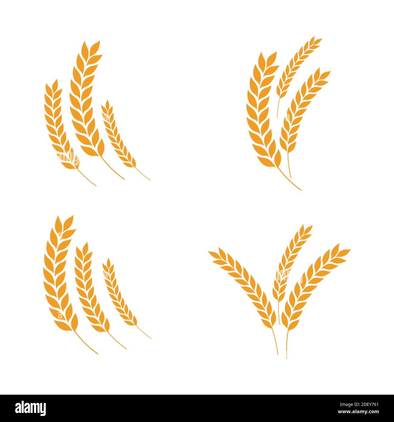 Rice farm design hi-res stock photography and images - Alamy