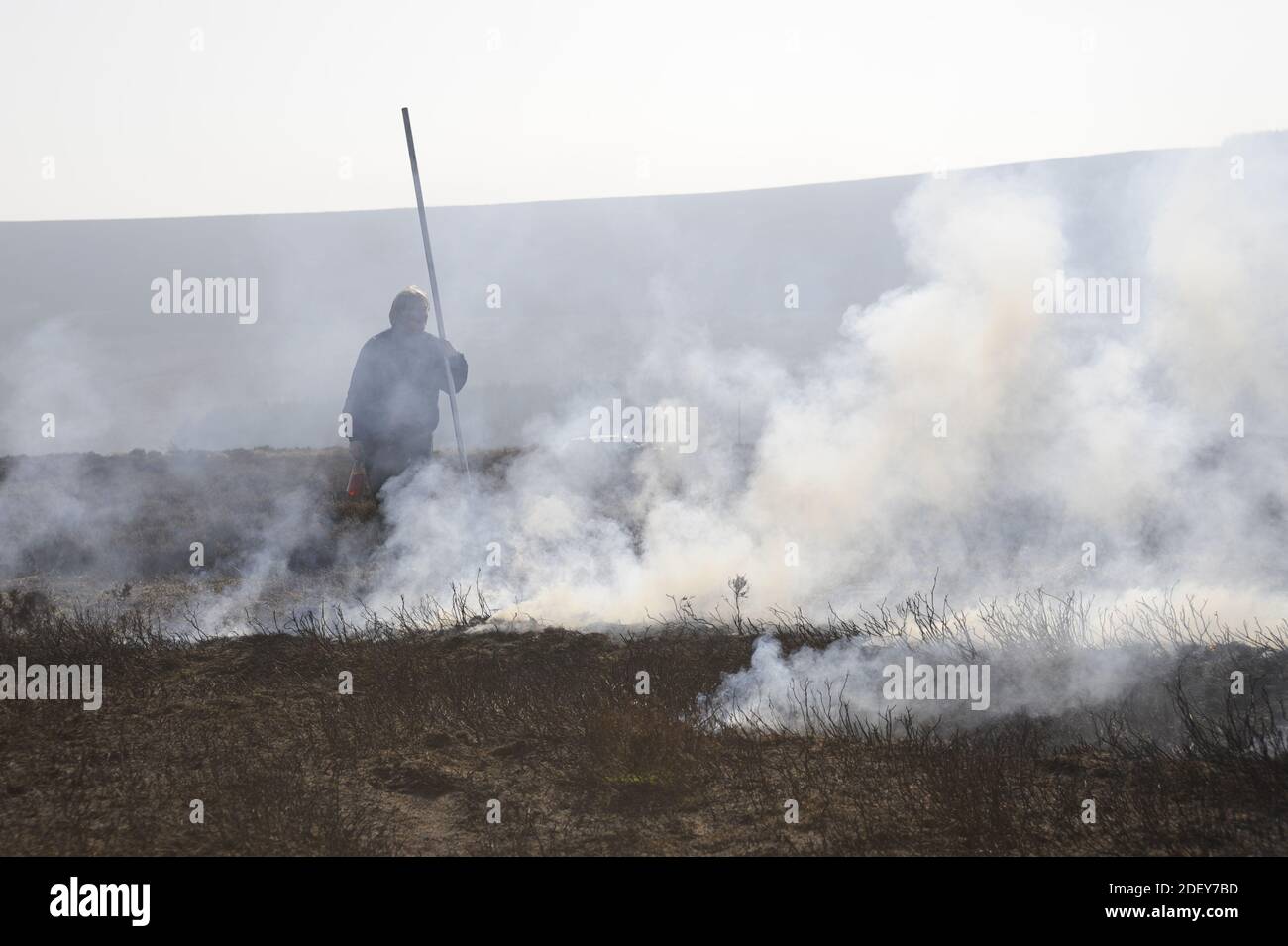 Burning heather on a grouse moor, Scotland Stock Photo - Alamy