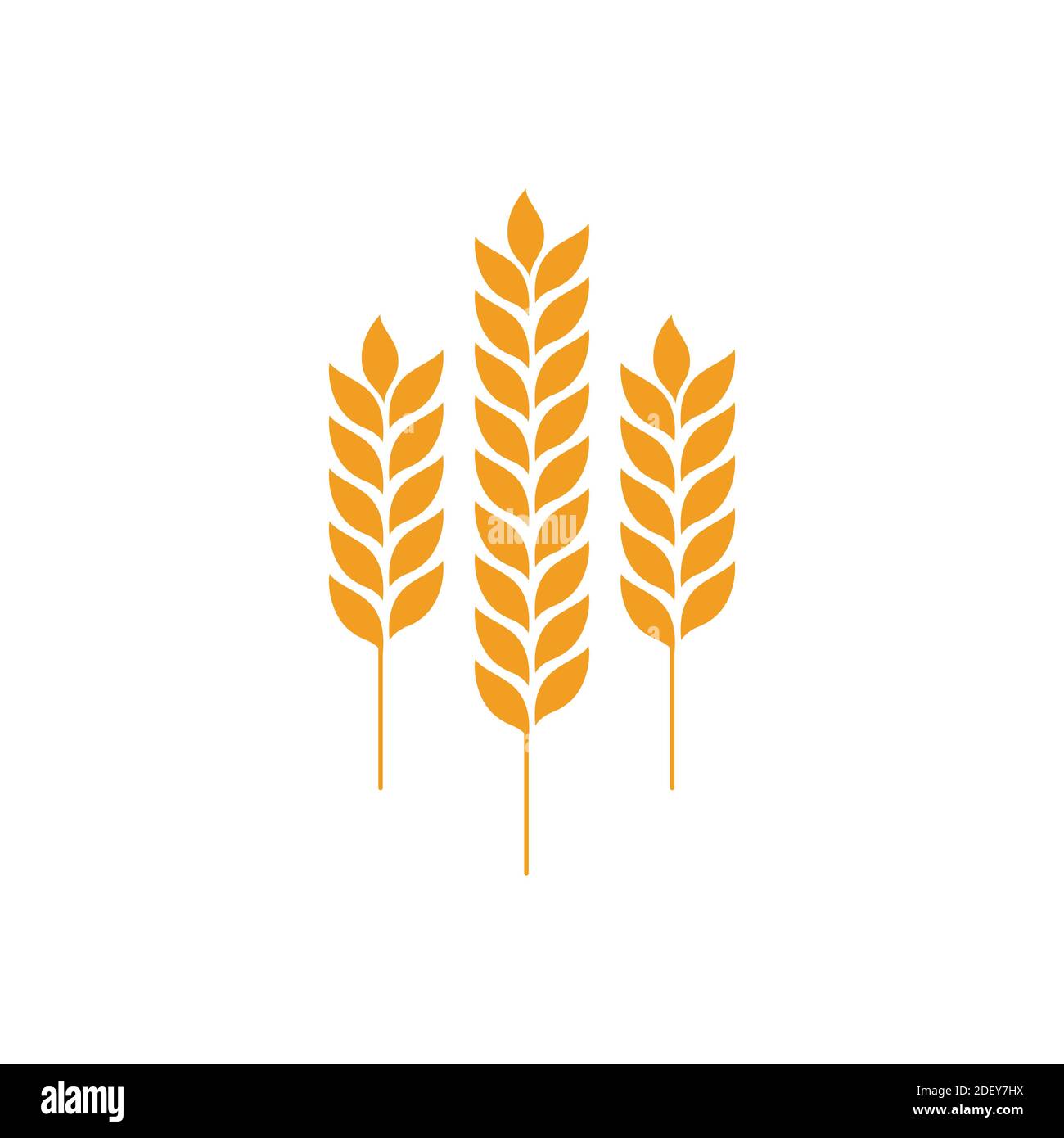 Agriculture wheat vector icon design Stock Vector Image & Art - Alamy