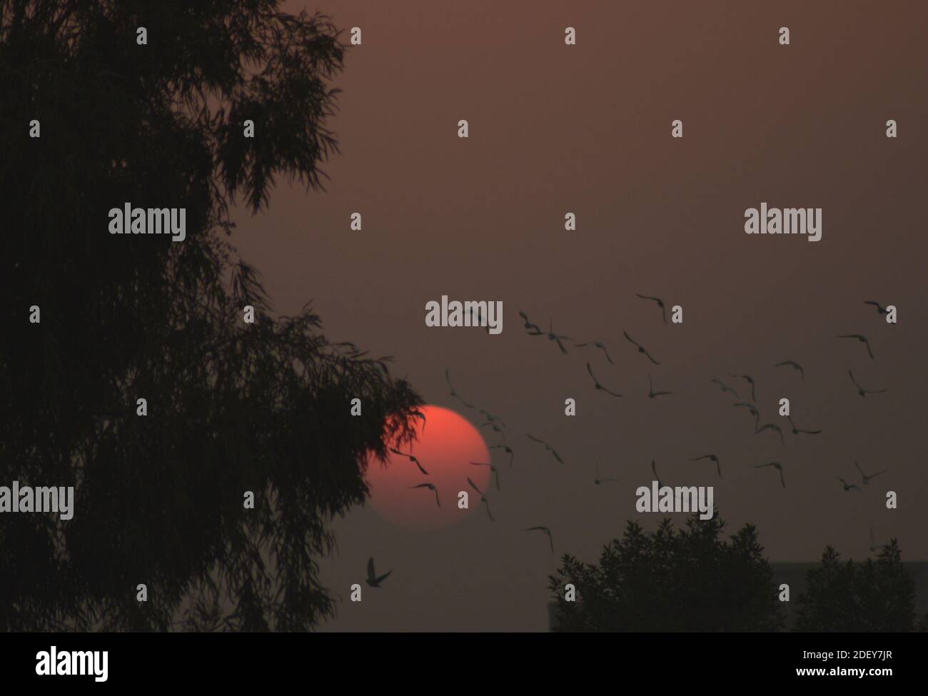 Beautiful half sun setting/ sunset Stock Photo - Alamy