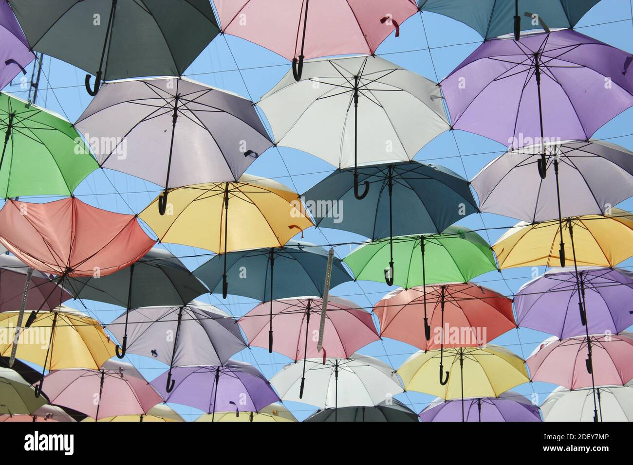 Vibrant & colorful umbrella canopy in Laoag City, Ilocos Norte ...