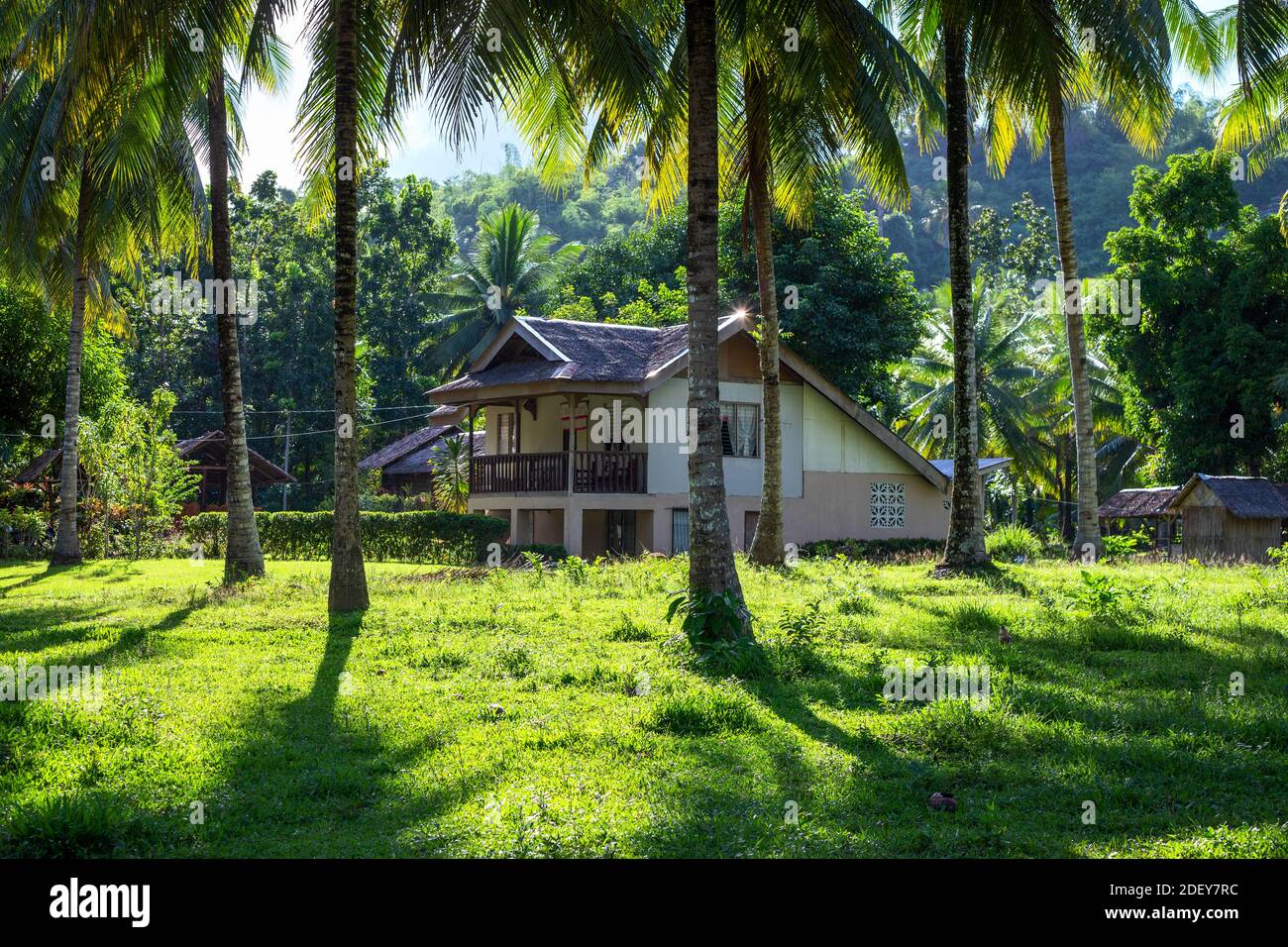 Sunny tropical landscape with palm trees and village house. Eco ...