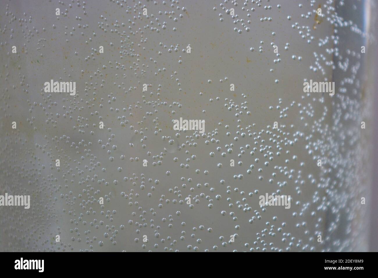 Small, round, spherical bubbles covered the surface of a plastic ...