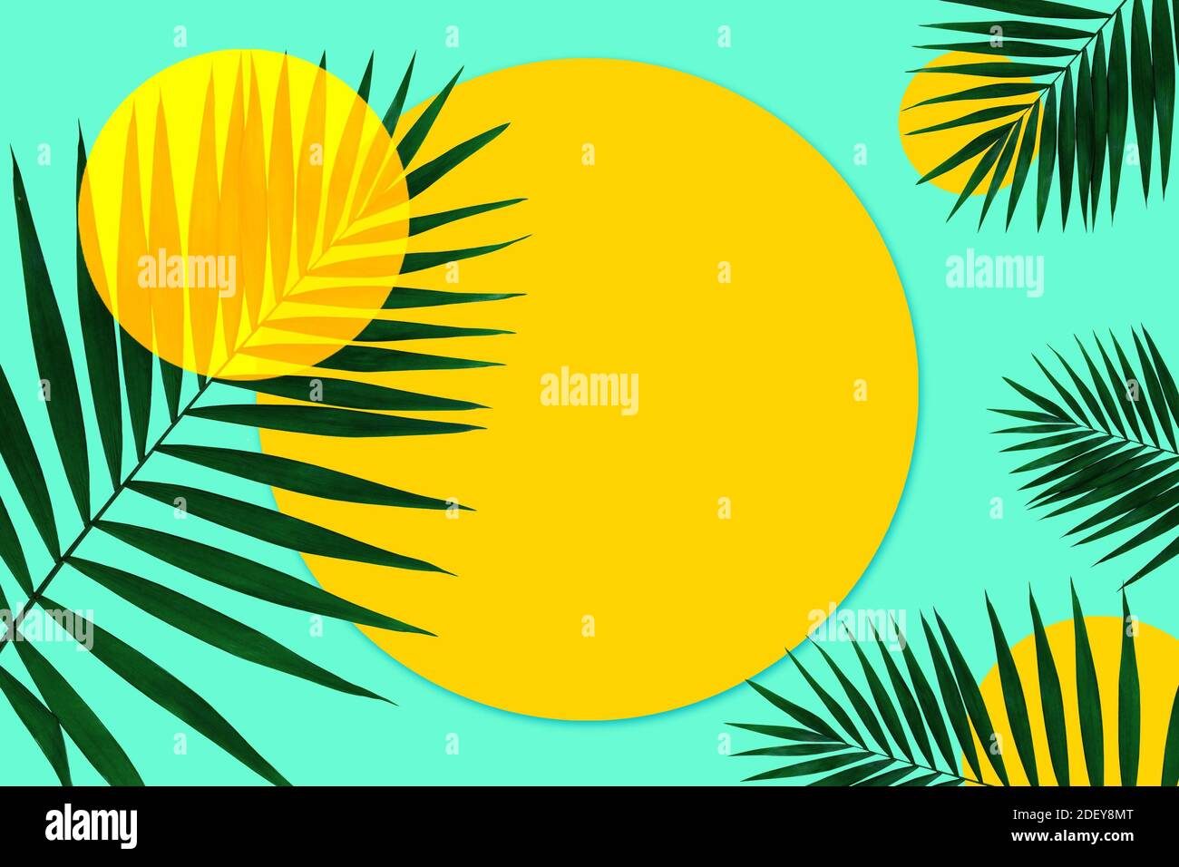 Creative banner with tropical leaves on geometric vibrant colours ...