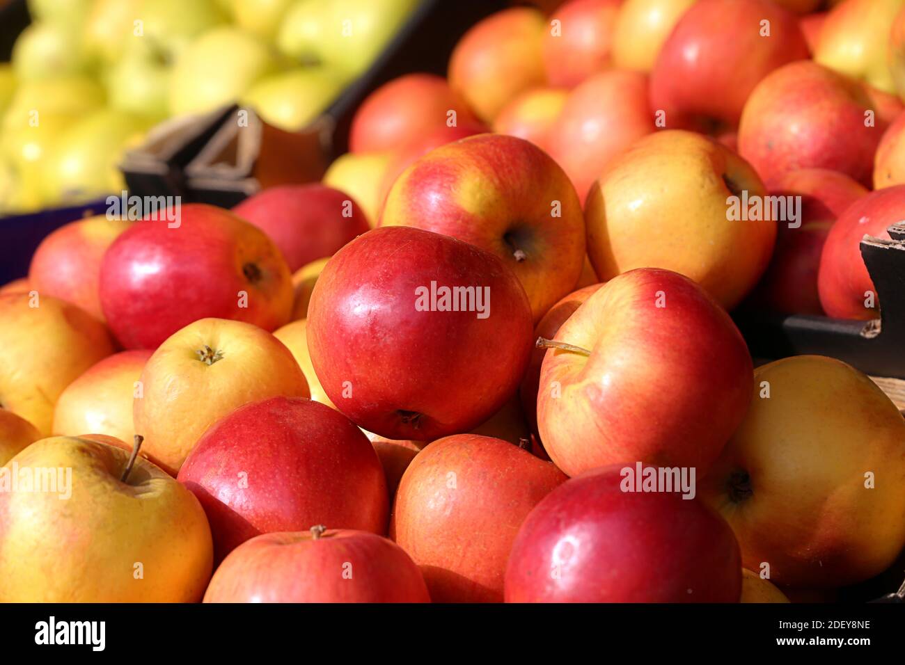 Close up of fresh apples in a shop Stock Photo - Alamy