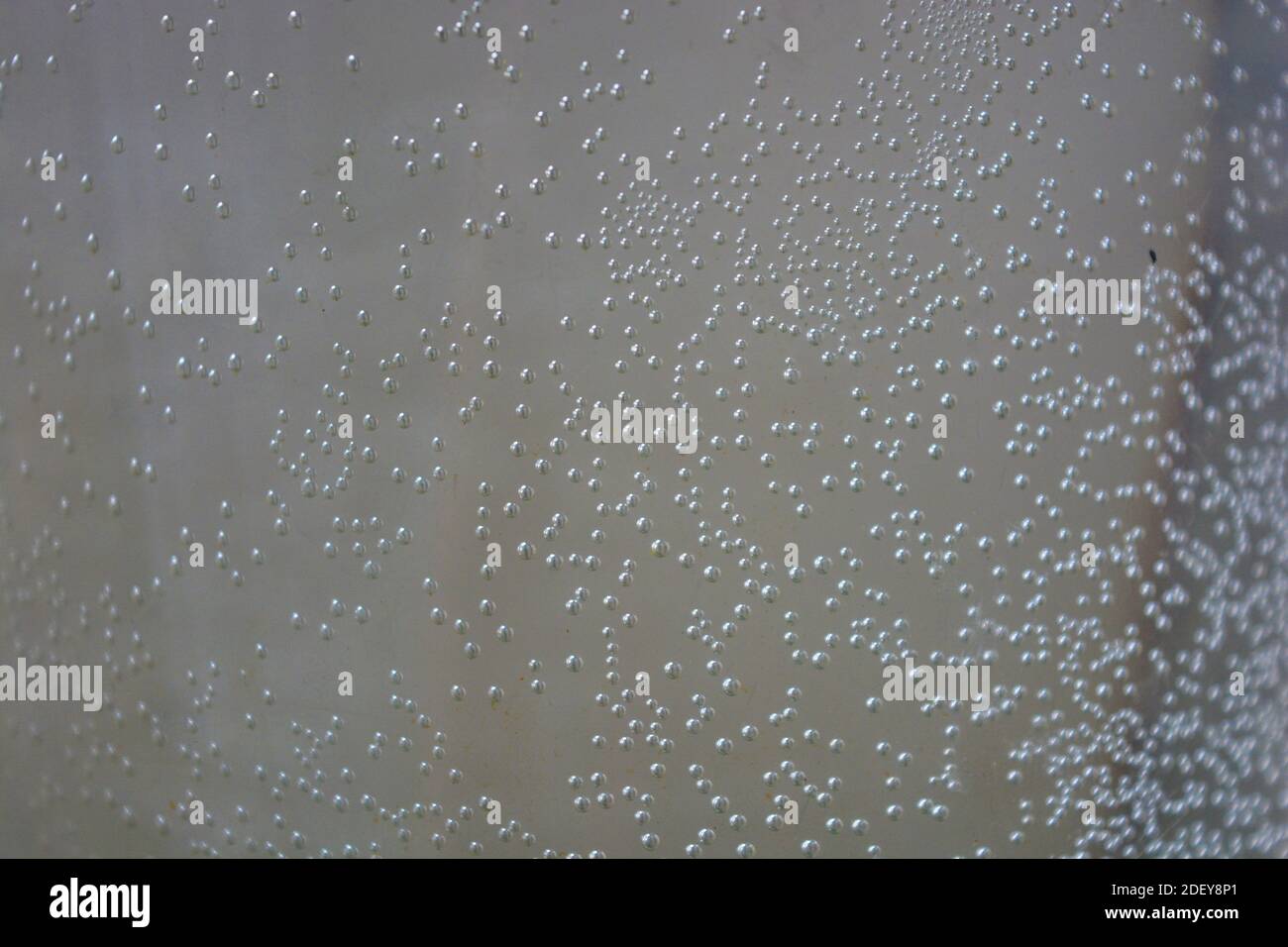 Small, round, spherical bubbles covered the surface of a plastic ...