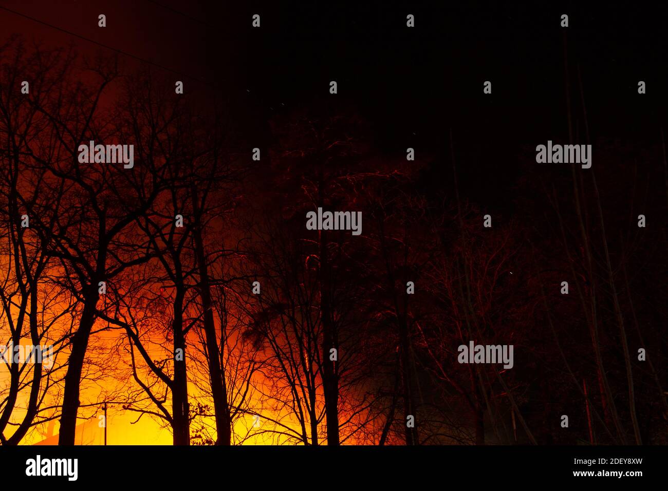 Night fire in the autumn deciduous forest. background Stock Photo - Alamy
