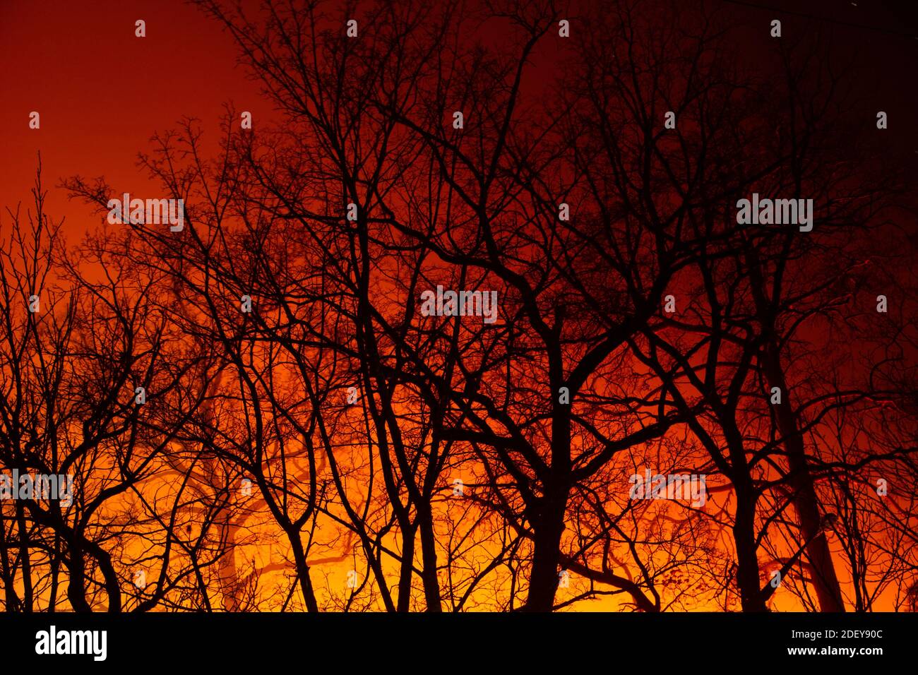 Night fire in the autumn deciduous forest. background Stock Photo - Alamy