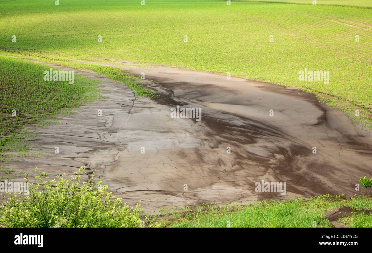 Drought cracked mud corn hi-res stock photography and images - Alamy