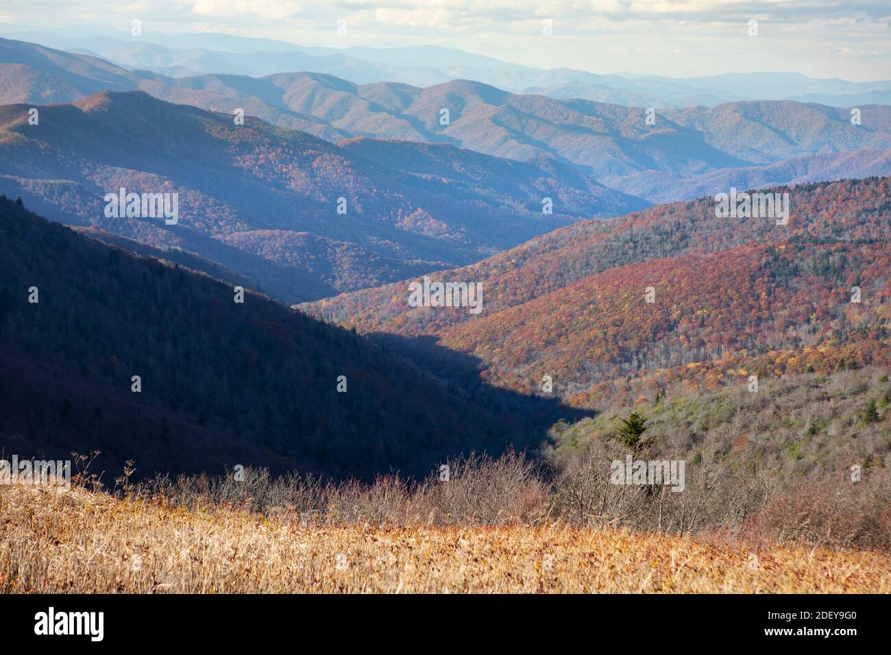 Fall colors in the Shining Rock Wilderness of the Blue Ridge Mountains ...