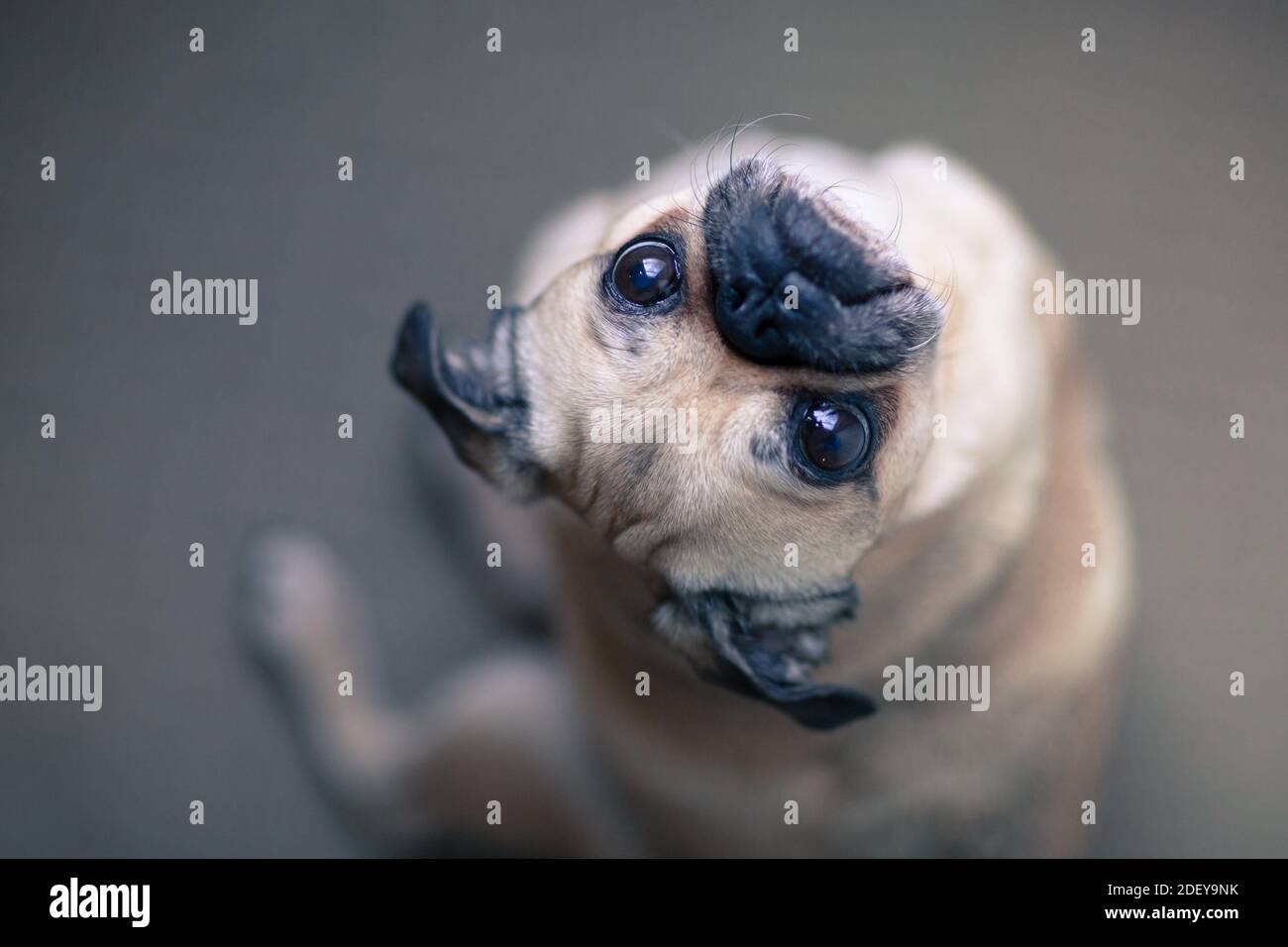 Confused sea hi-res stock photography and images - Alamy