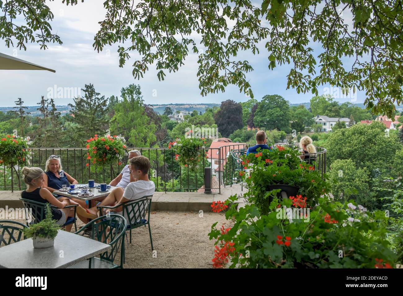 Restaurant Weingarten Hoflößnitz, Radebeul, Sachsen, Deutschland Stock ...