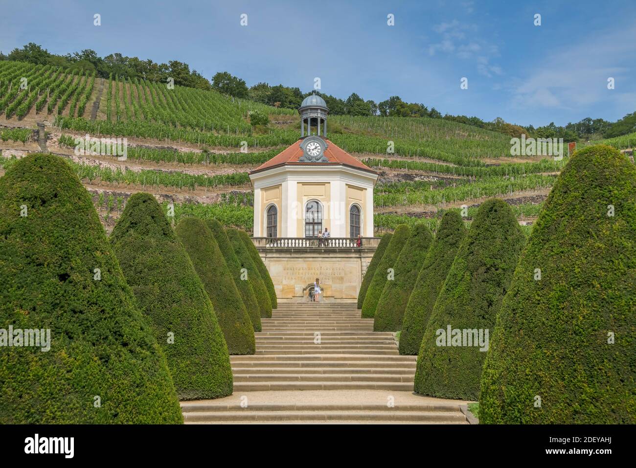 Belvedere, Weinberge, Schloß Wackerbarth, Radebeul, Sachsen ...