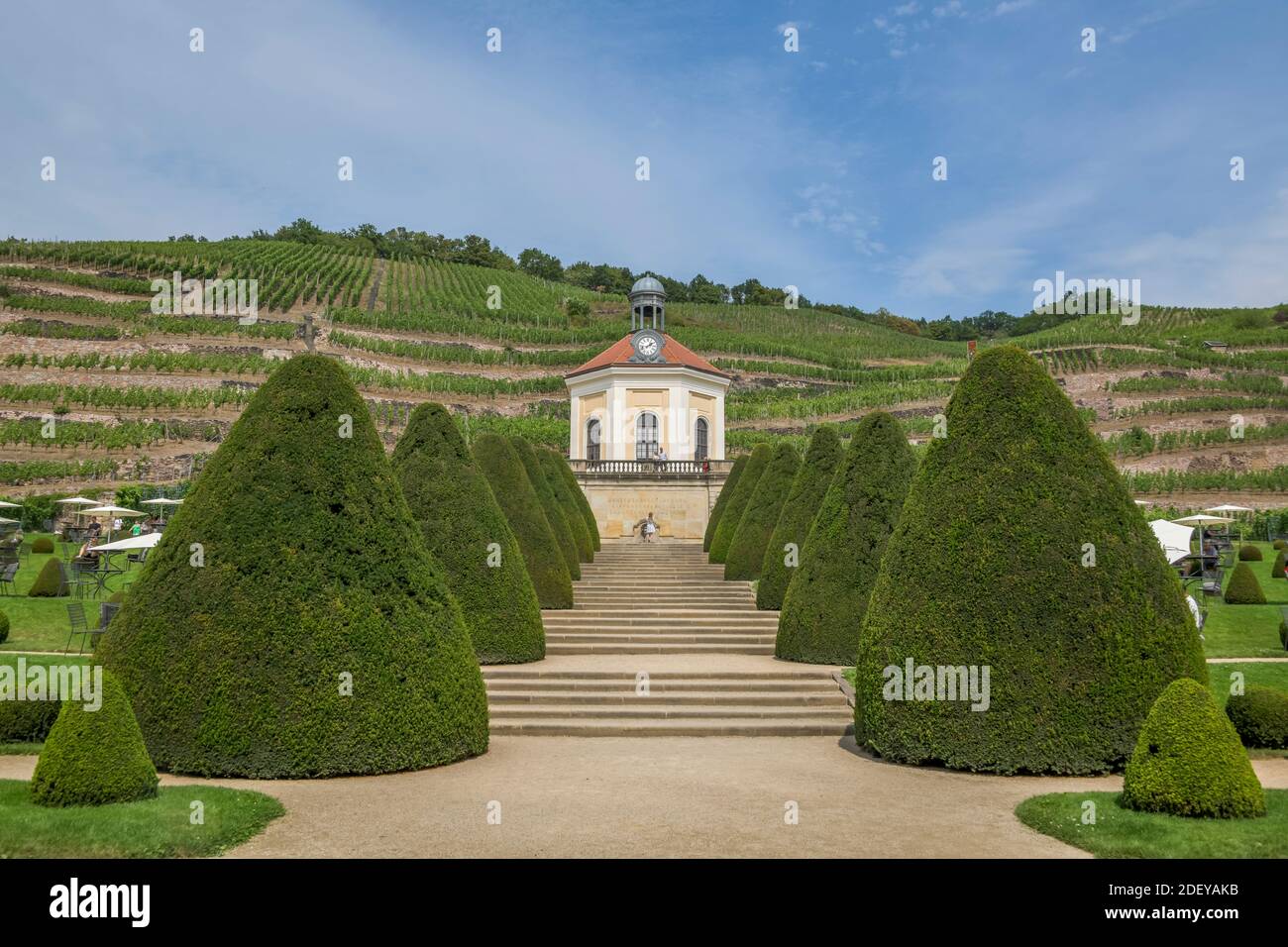 Sachsische weinberge hi-res stock photography and images - Alamy